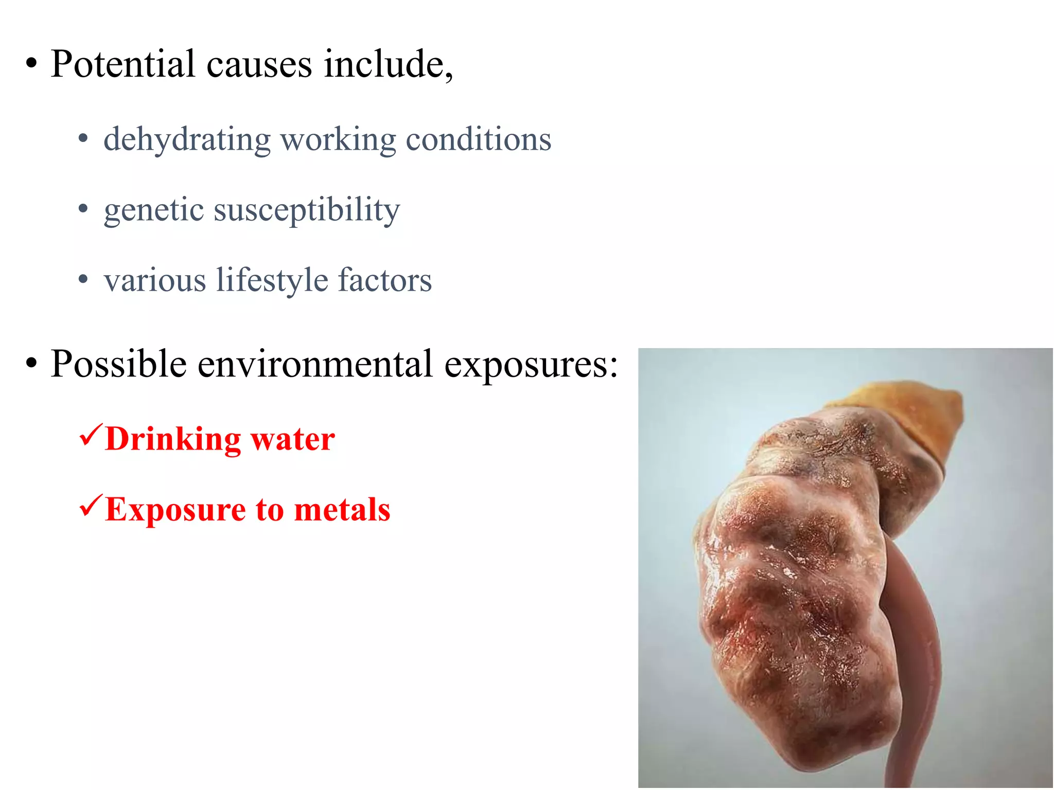 Food Toxicology & Biological Contamination.pptx