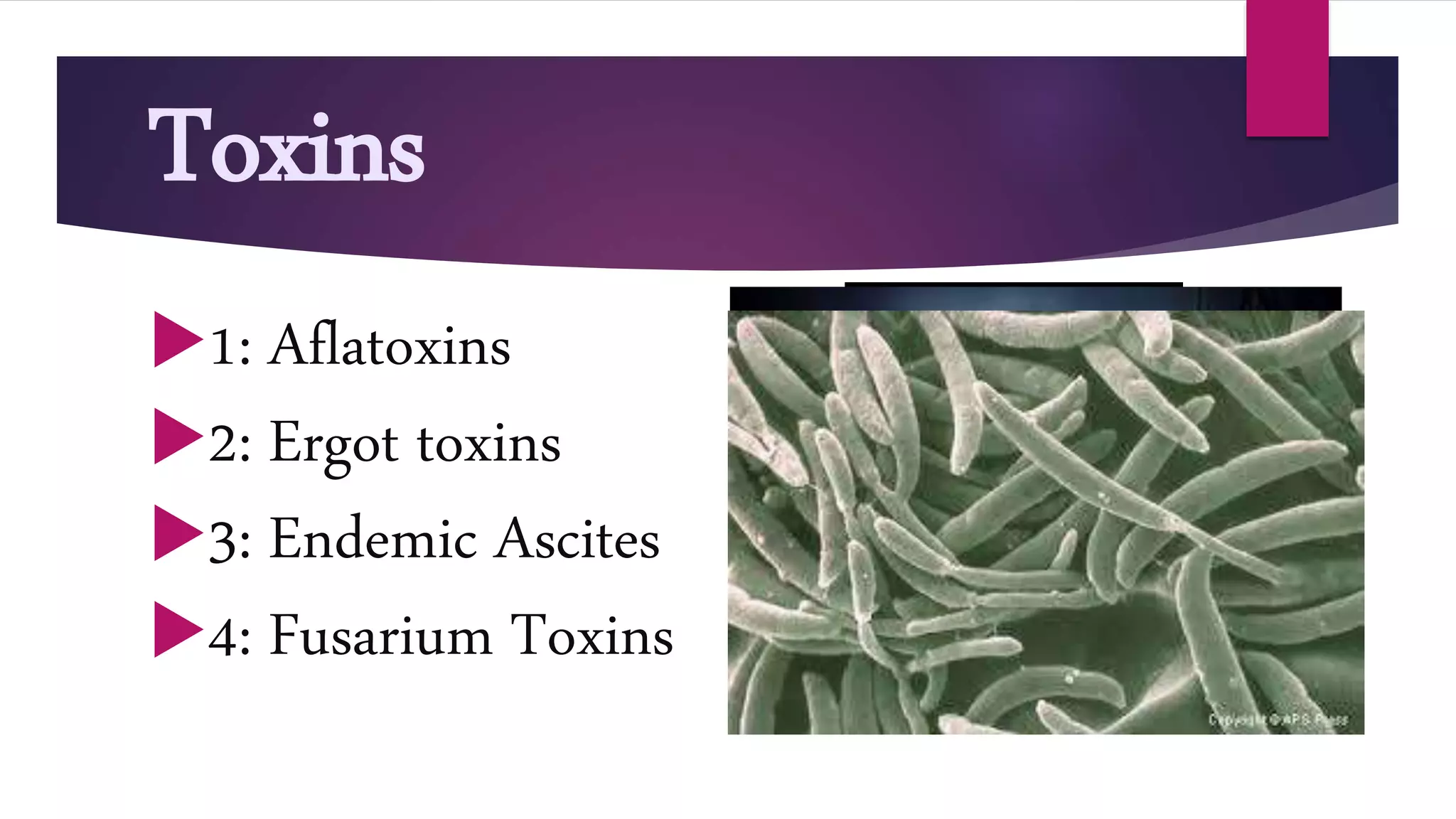 Food toxin | PPTX