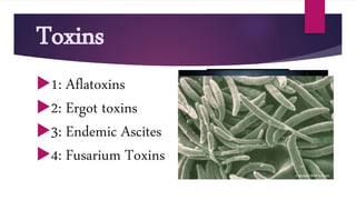 Food toxin | PPT