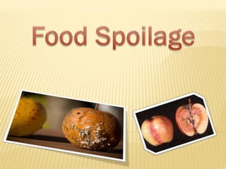 Food types and spoilage | PDF