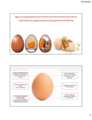 Food value and chemical composition of Egg.pdf