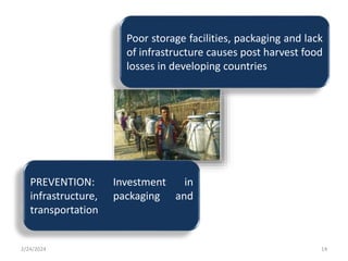 Wastages of food and its bad impact on world | PPT