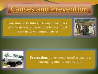 Food wastage in India | PDF