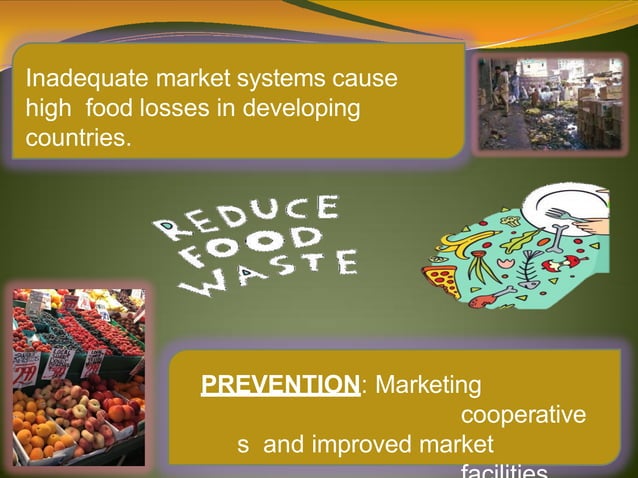 Food wastage in India | PDF | Agriculture | Industries