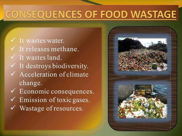 Food wastage in India | PDF | Agriculture | Industries