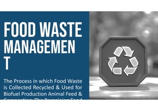 Food Waste Definition | PDF