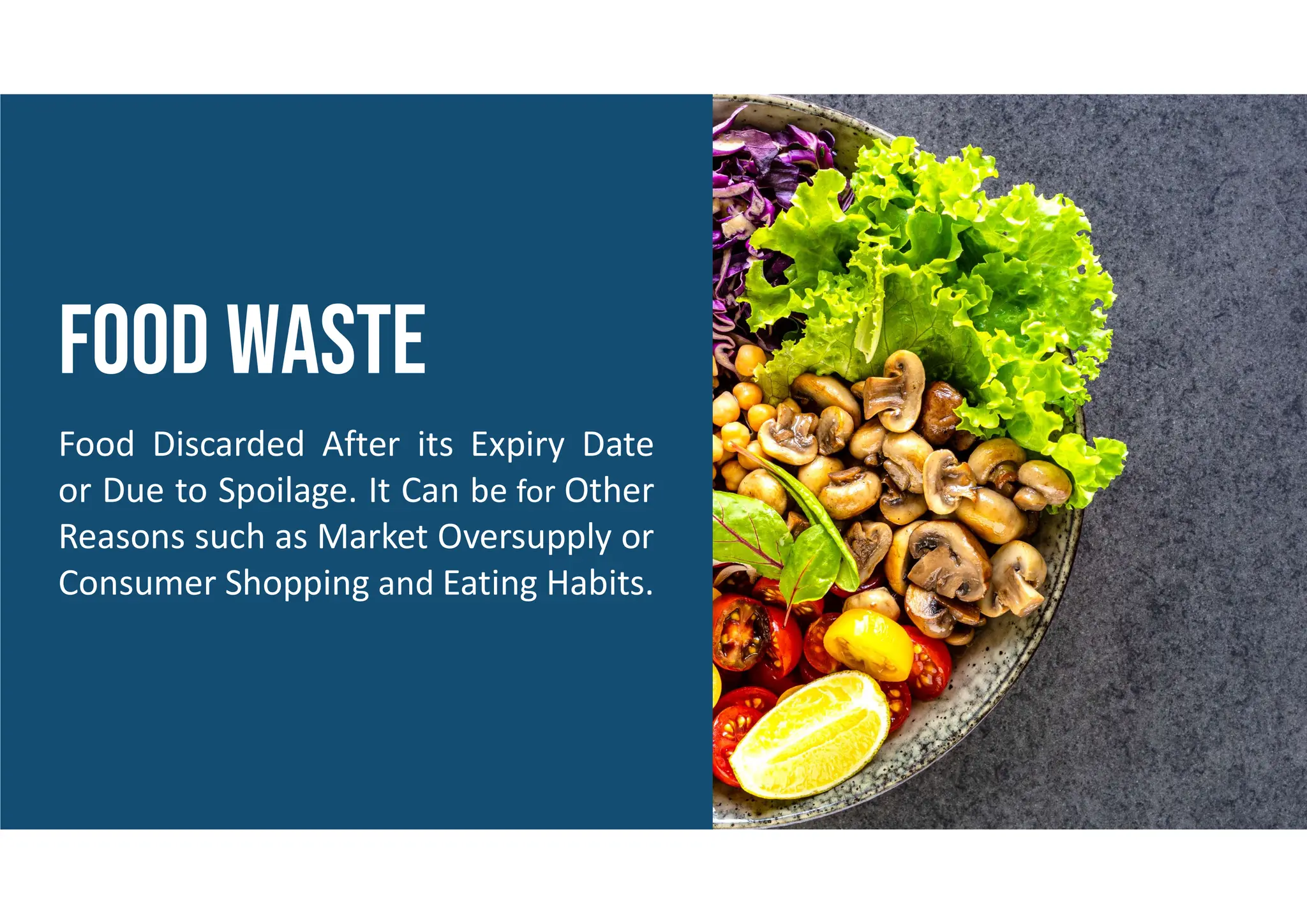 Food Waste Management | PDF