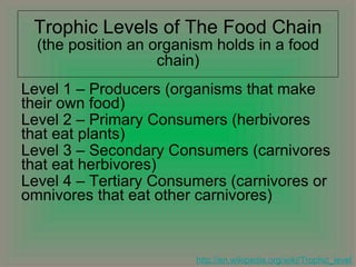 Food Chains and Food Webs (PowerPoint) | PPT