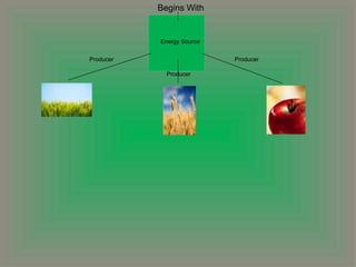 Food Chains and Food Webs (PowerPoint) | PPT