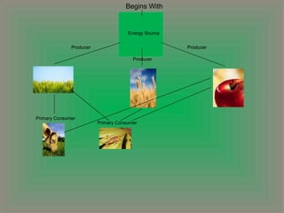 Food Chains and Food Webs (PowerPoint) | PPT