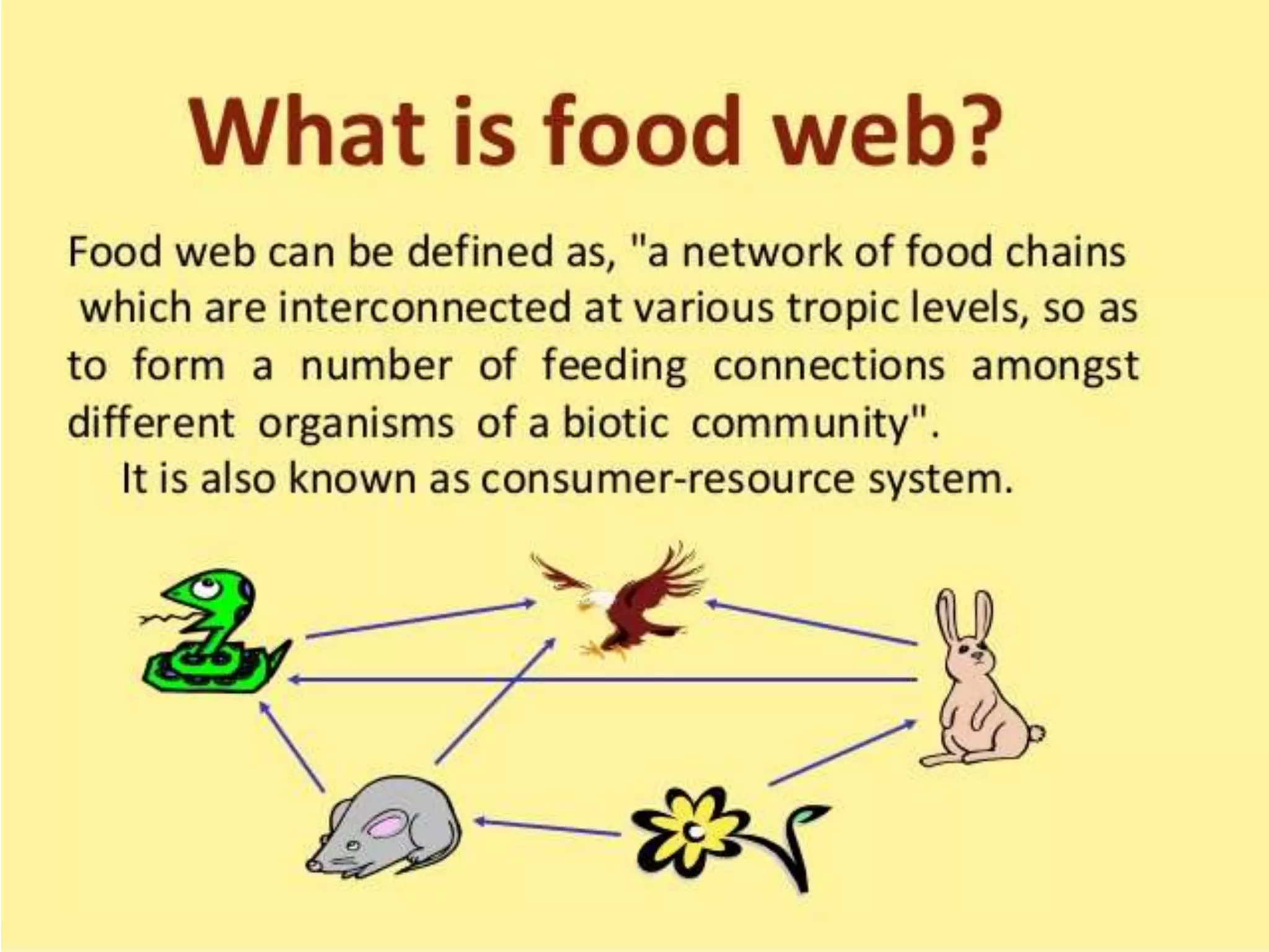 Food web | PPTX