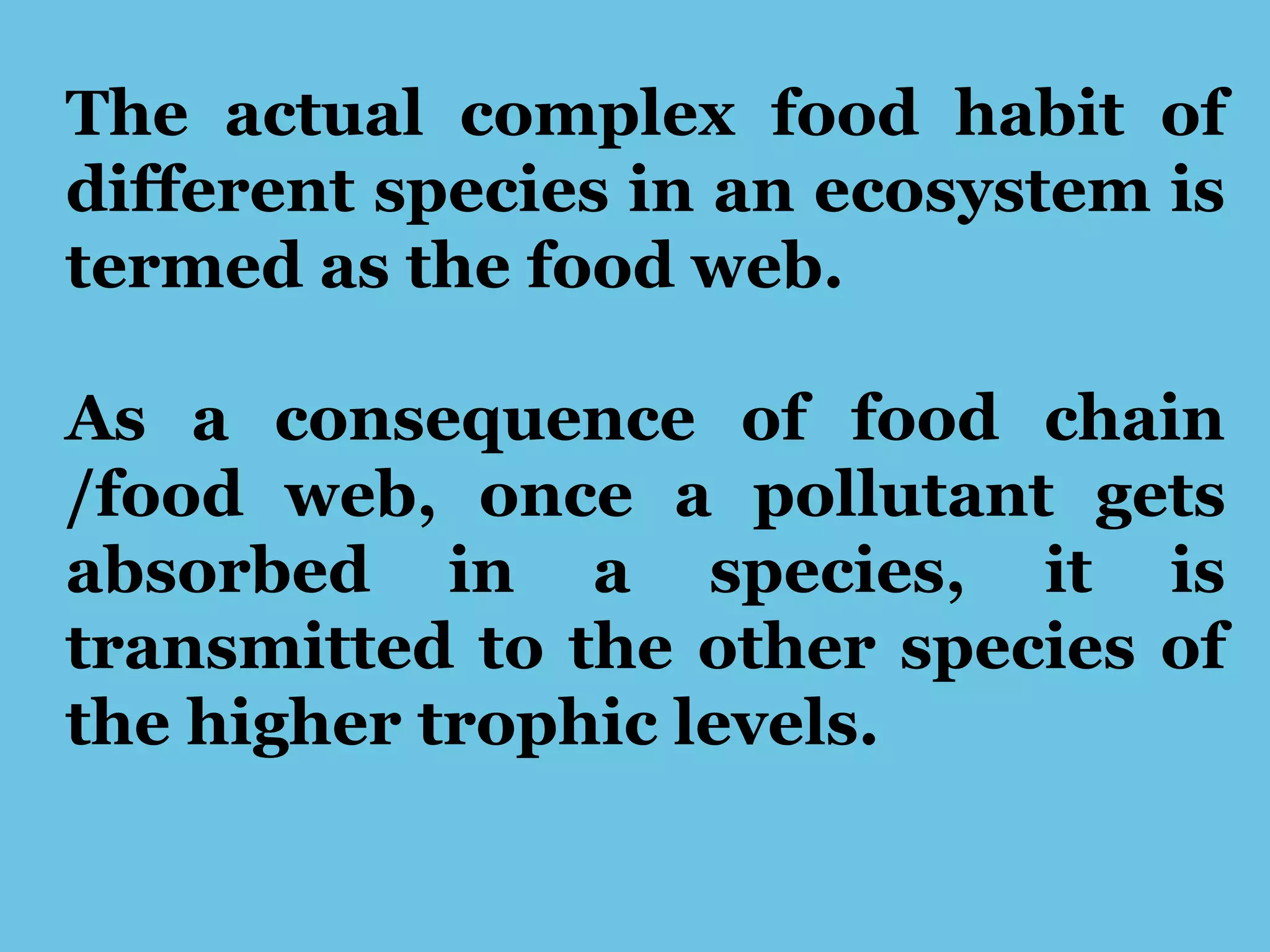 Food web | PPTX