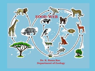 Food web | PPTX