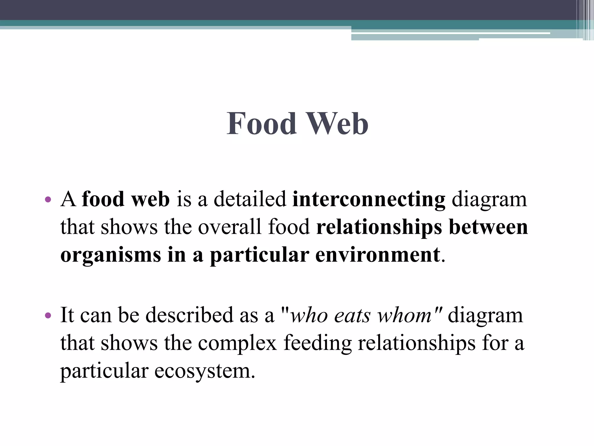 Food Web | PPT