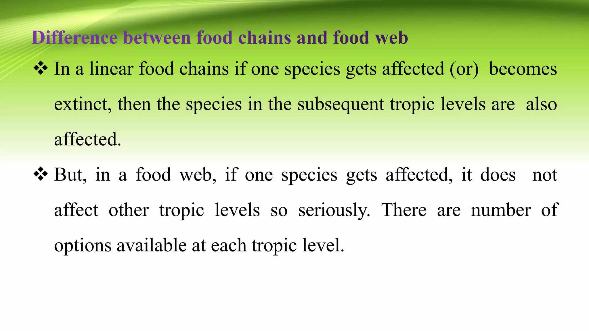 FOOD WEB.pptx