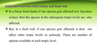 FOOD WEB.pptx