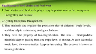 FOOD WEB.pptx