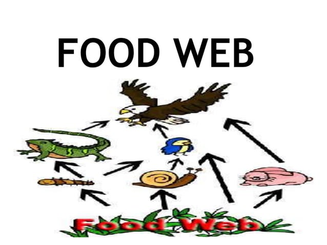 Food web (1) 2 | PPTX | Gardening | Home & Garden