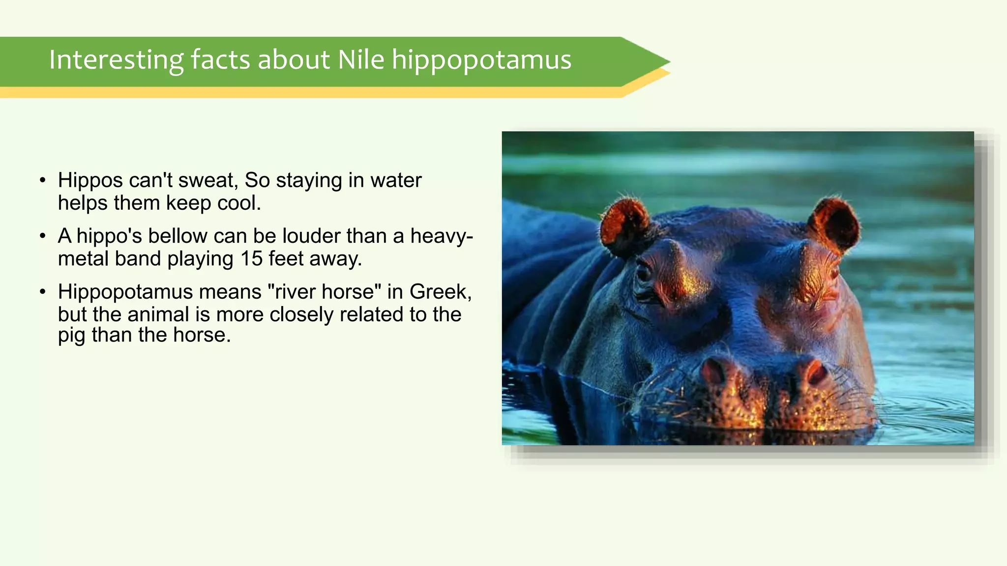 The Ecosystem in Nile River Basin | PPTX