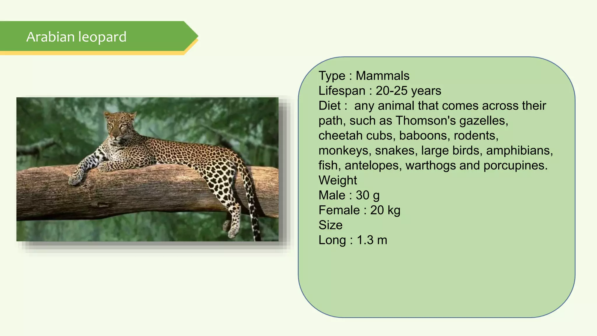 The Ecosystem in Nile River Basin | PPTX