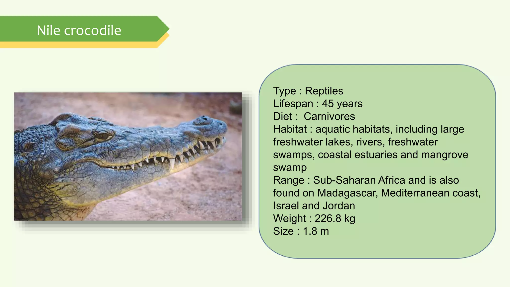 The Ecosystem in Nile River Basin | PPTX