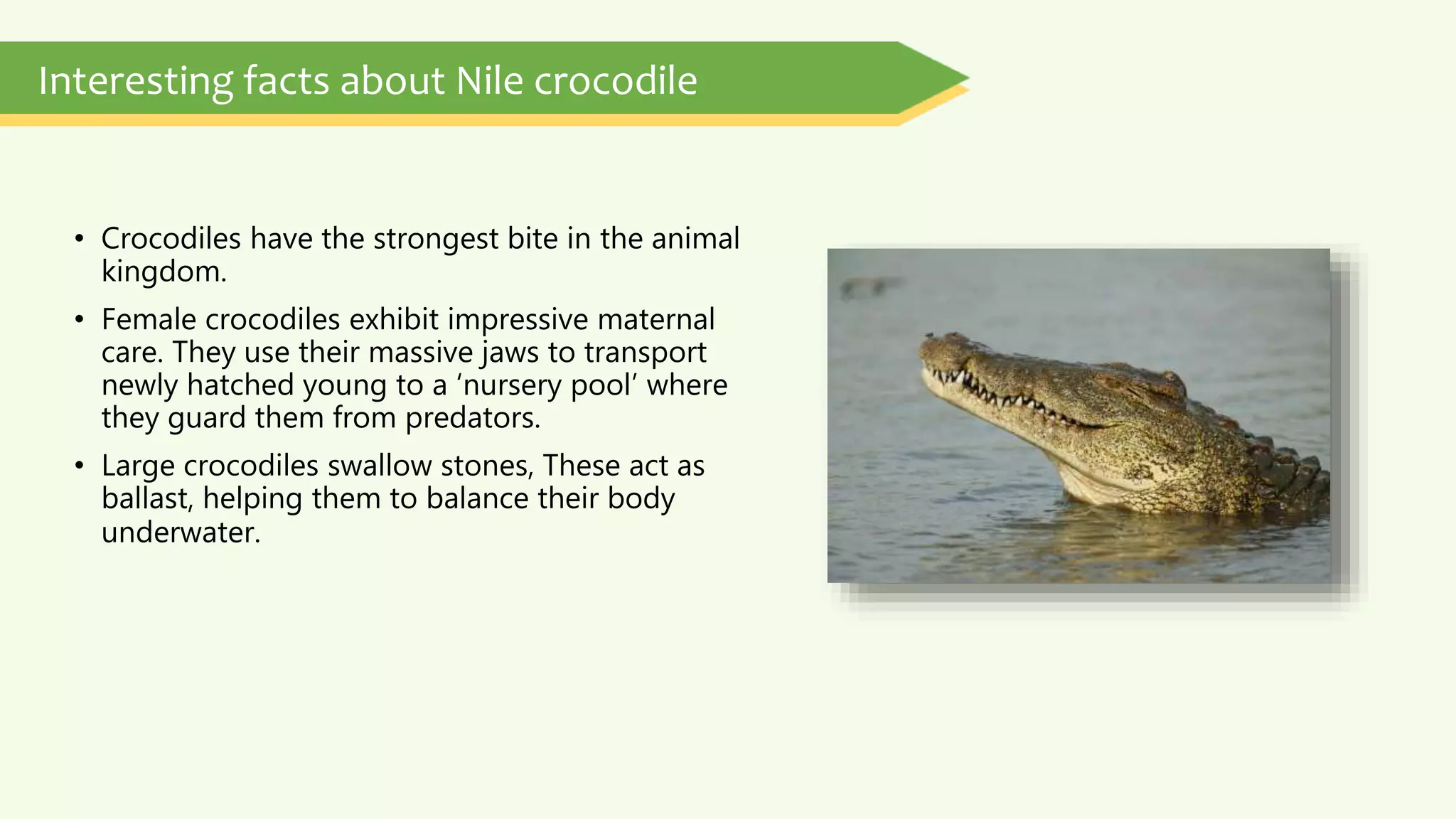 The Ecosystem in Nile River Basin | PPTX