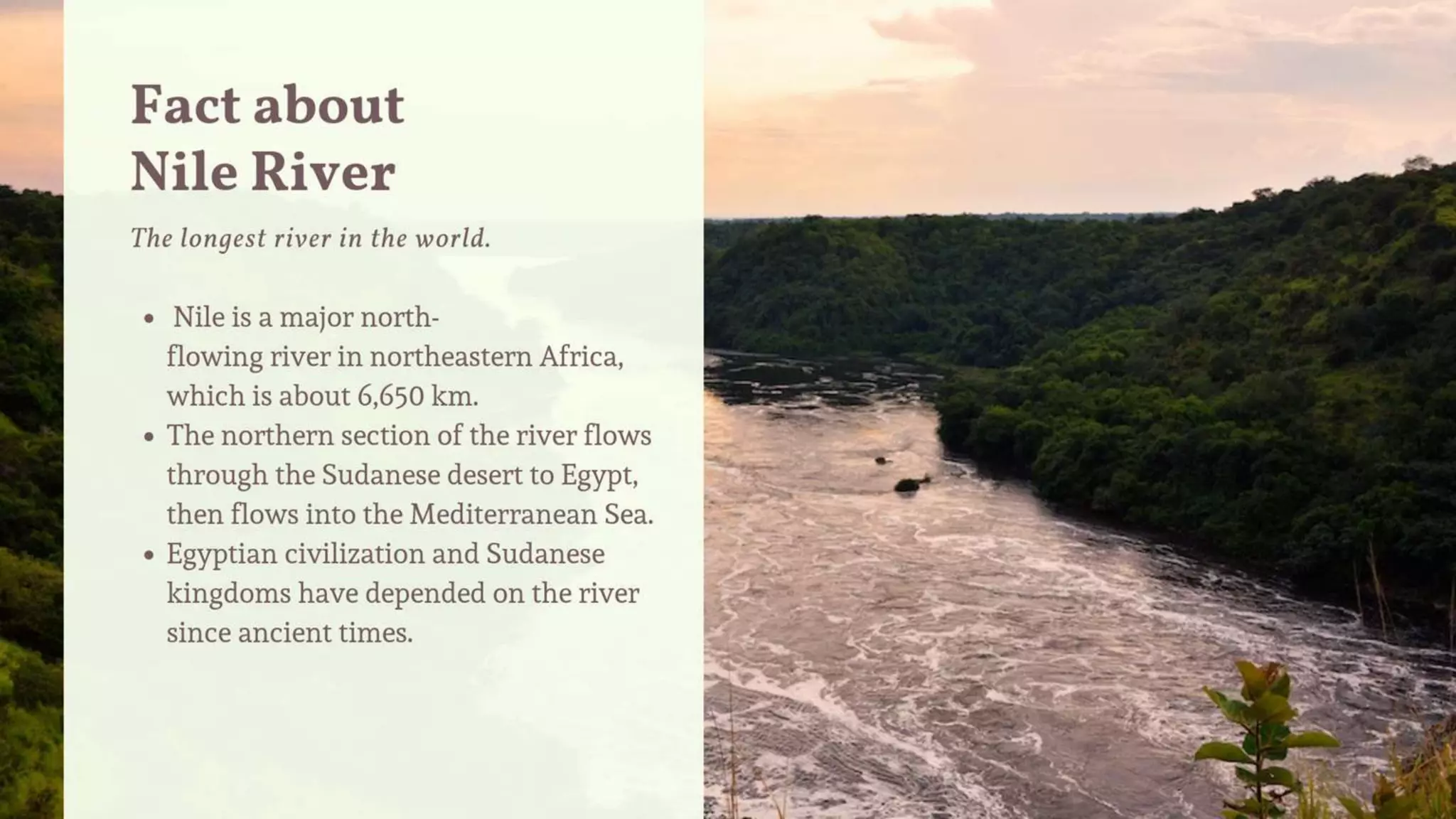 The Ecosystem in Nile River Basin | PPTX
