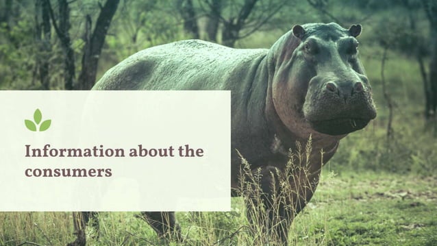 The Ecosystem in Nile River Basin | PPTX