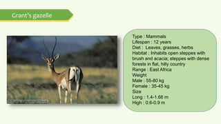 The Ecosystem in Nile River Basin | PPTX