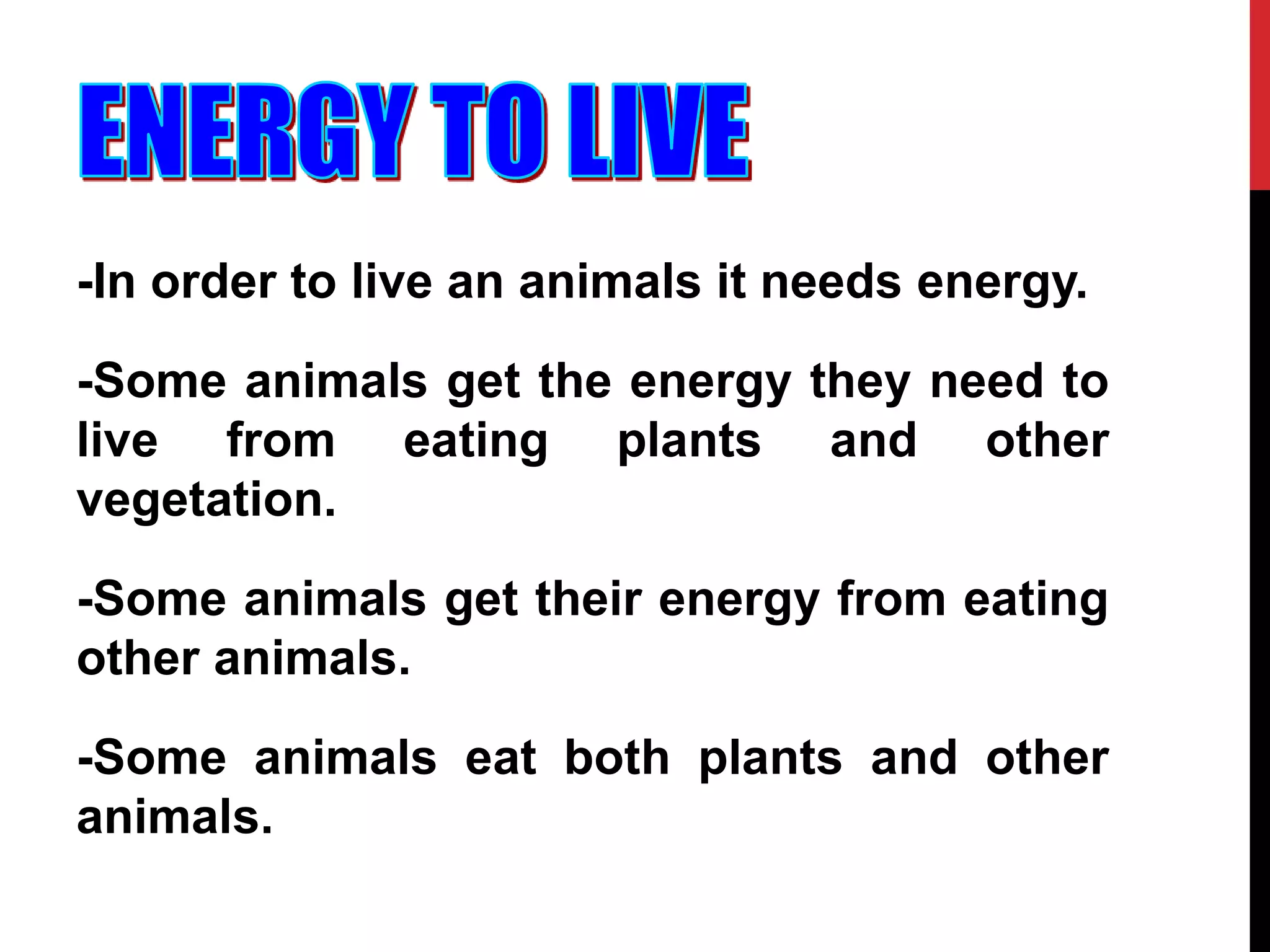 Food Web and Food Pyramid, Prepared by: Edsyl Berongoy Penas, LPT | PPT