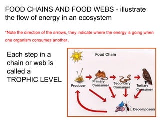 Food web, biosphere etc | PPT