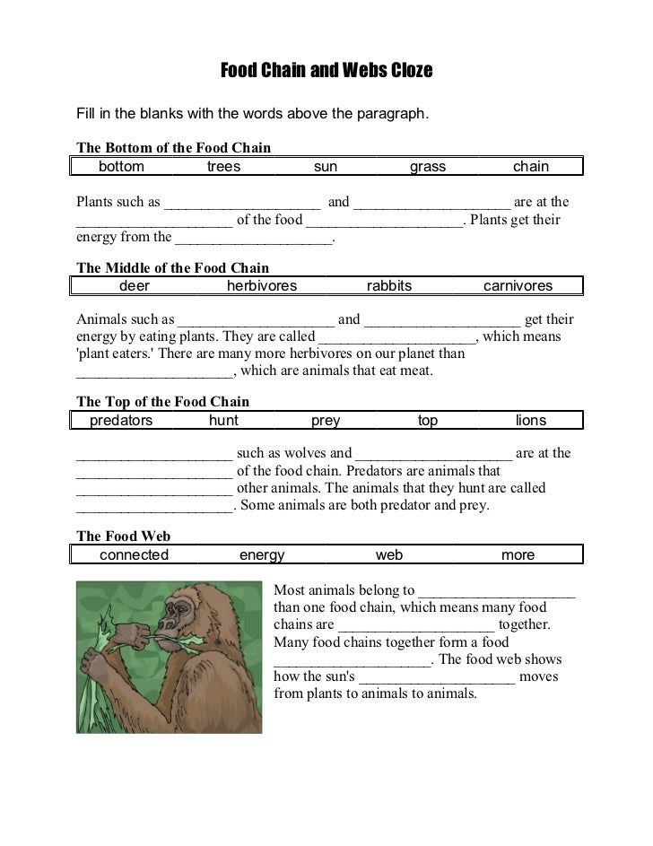 Food Webs And Food Chains Worksheet Answer Key food-webs-and-food-chains-worksheet-answer-key