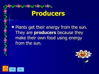 Food webs & food chain | PPT