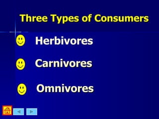 Food webs & food chain | PPT