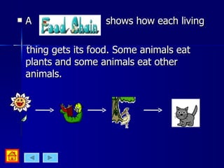 Food webs & food chain | PPT