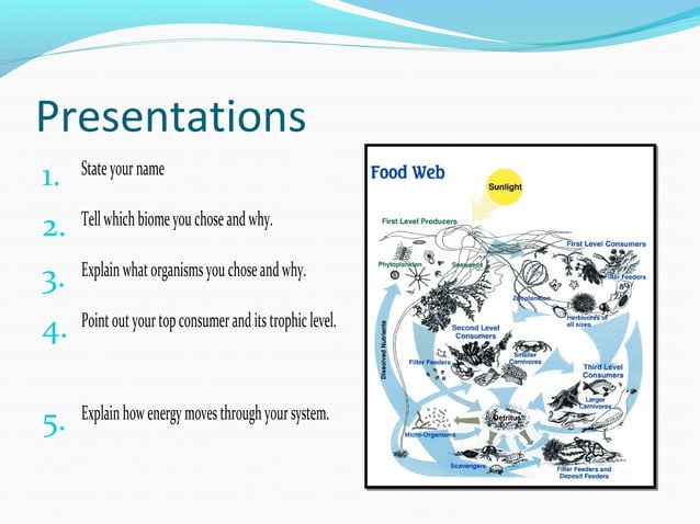 Food web poster assignment | PPT