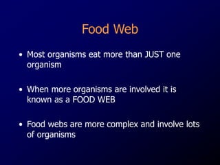 Food Web ppt.ppt