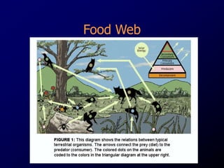 Food Web ppt.ppt