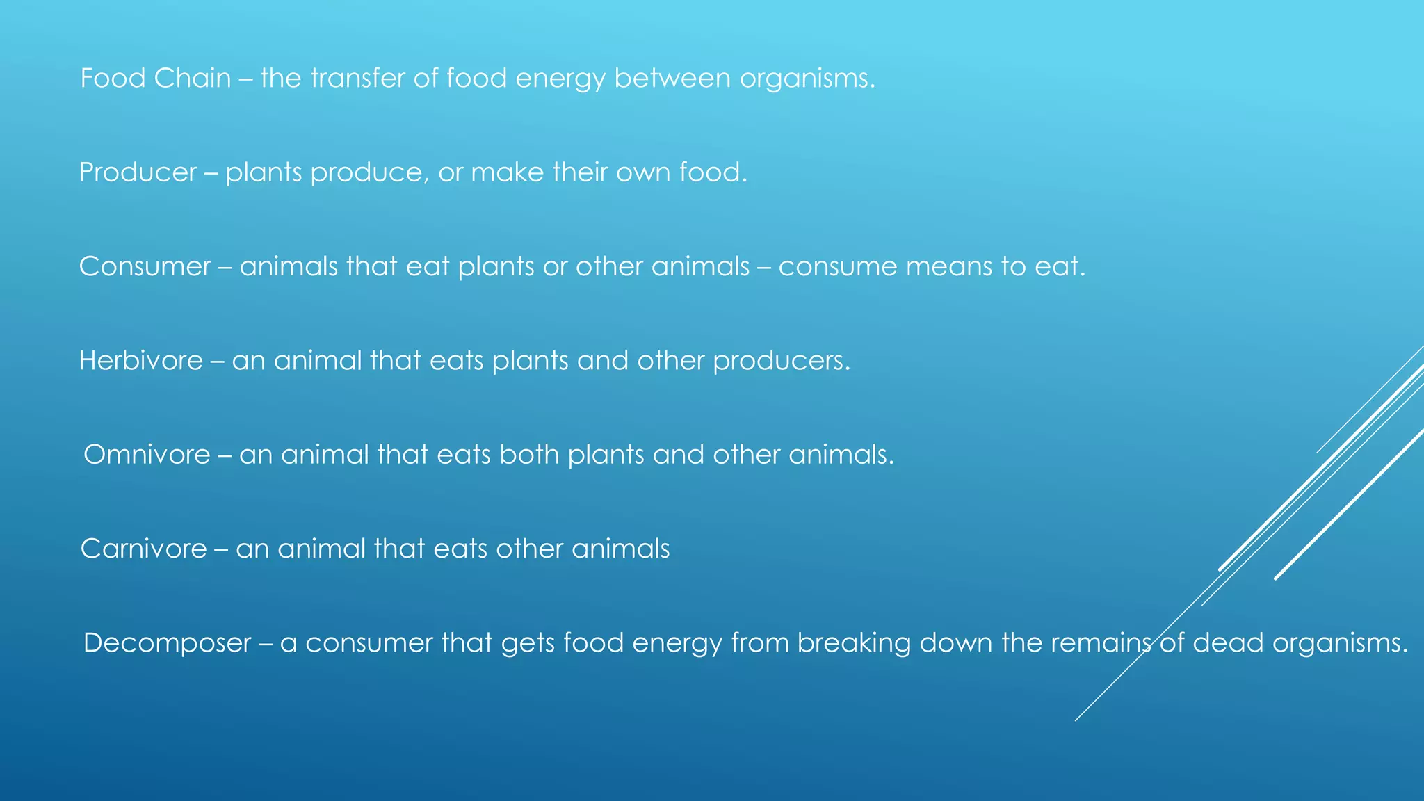Food web presentation | PPTX