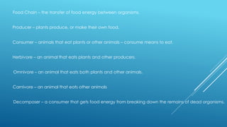 Food web presentation | PPTX
