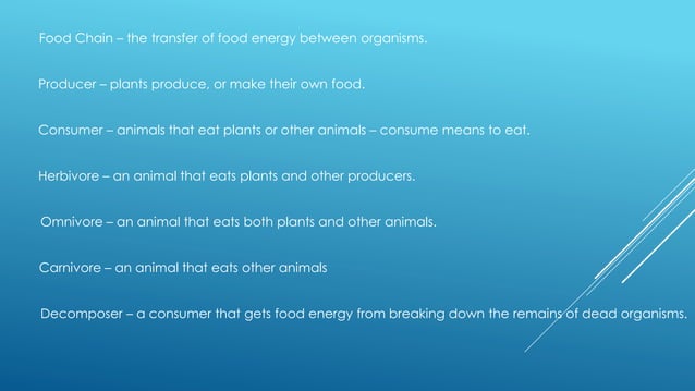 Food web presentation | PPTX