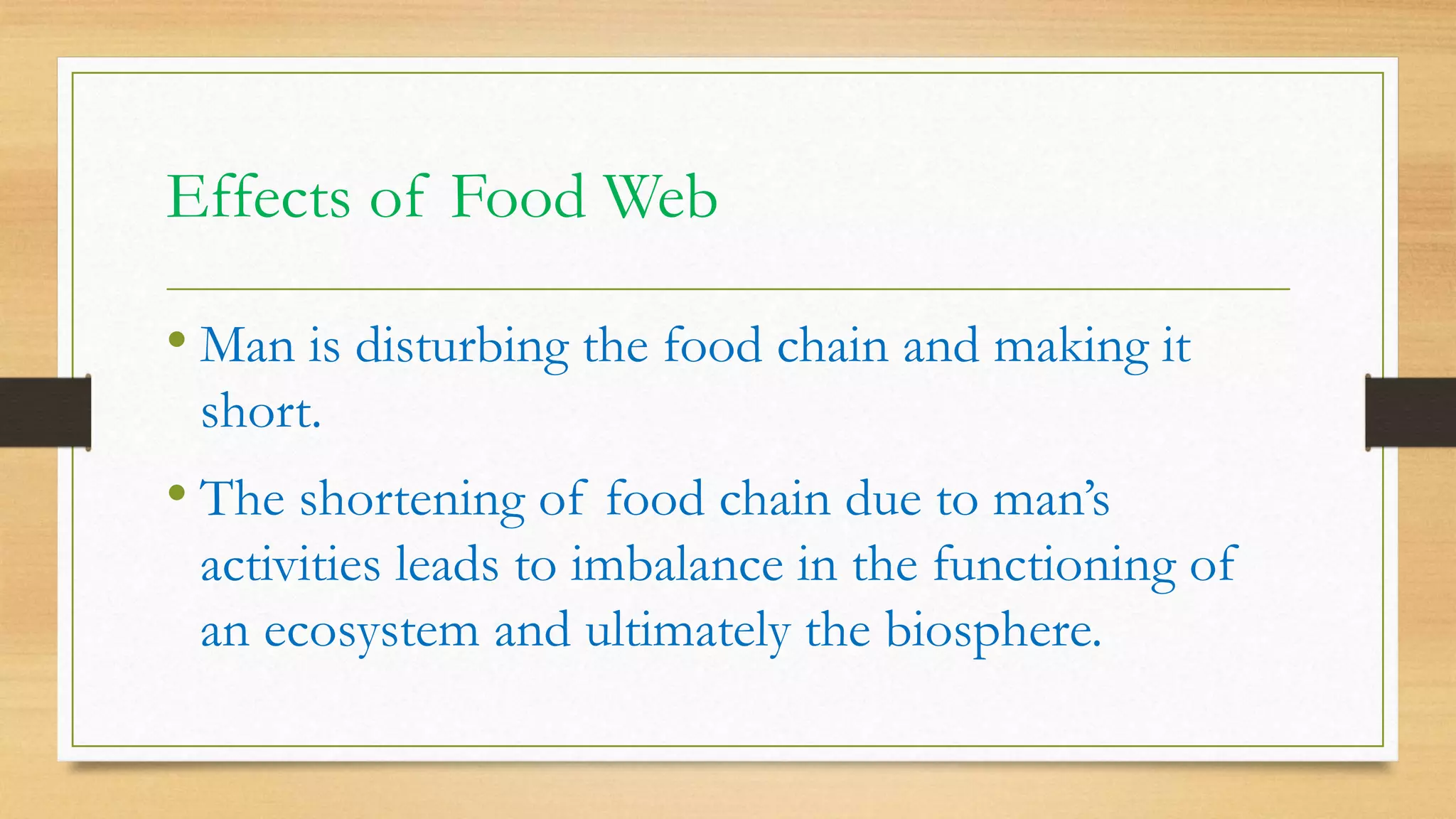 Food web presentation | PPTX