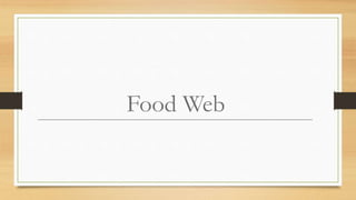 Food web presentation | PPTX