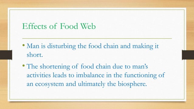 Food web presentation | PPTX