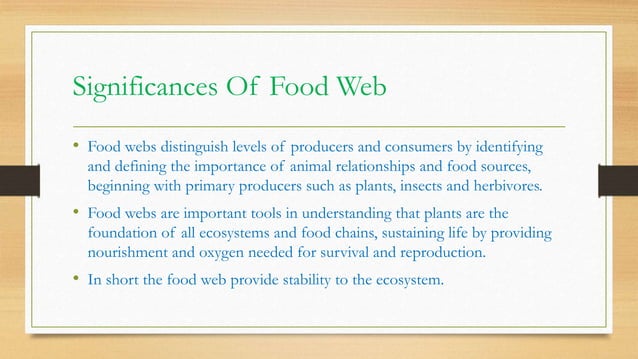 Food web presentation | PPTX