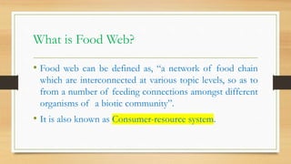 Food web presentation | PPTX