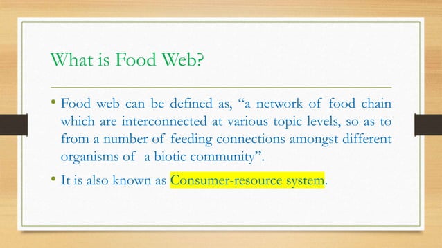 Food web presentation | PPTX