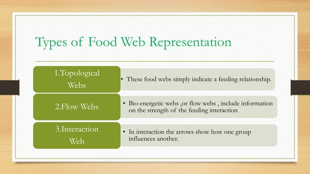 Food web presentation | PPTX