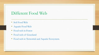 Food web presentation | PPTX