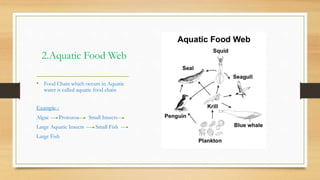 Food web presentation | PPTX